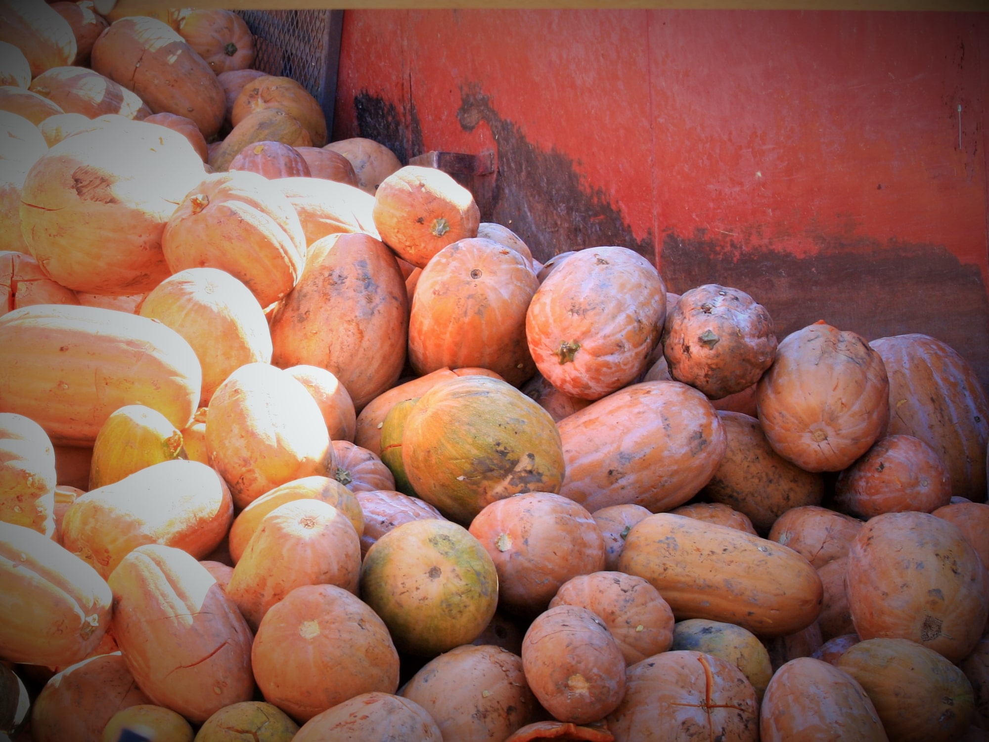 Seneca Foods - Farm Fresh Goodness Made Great